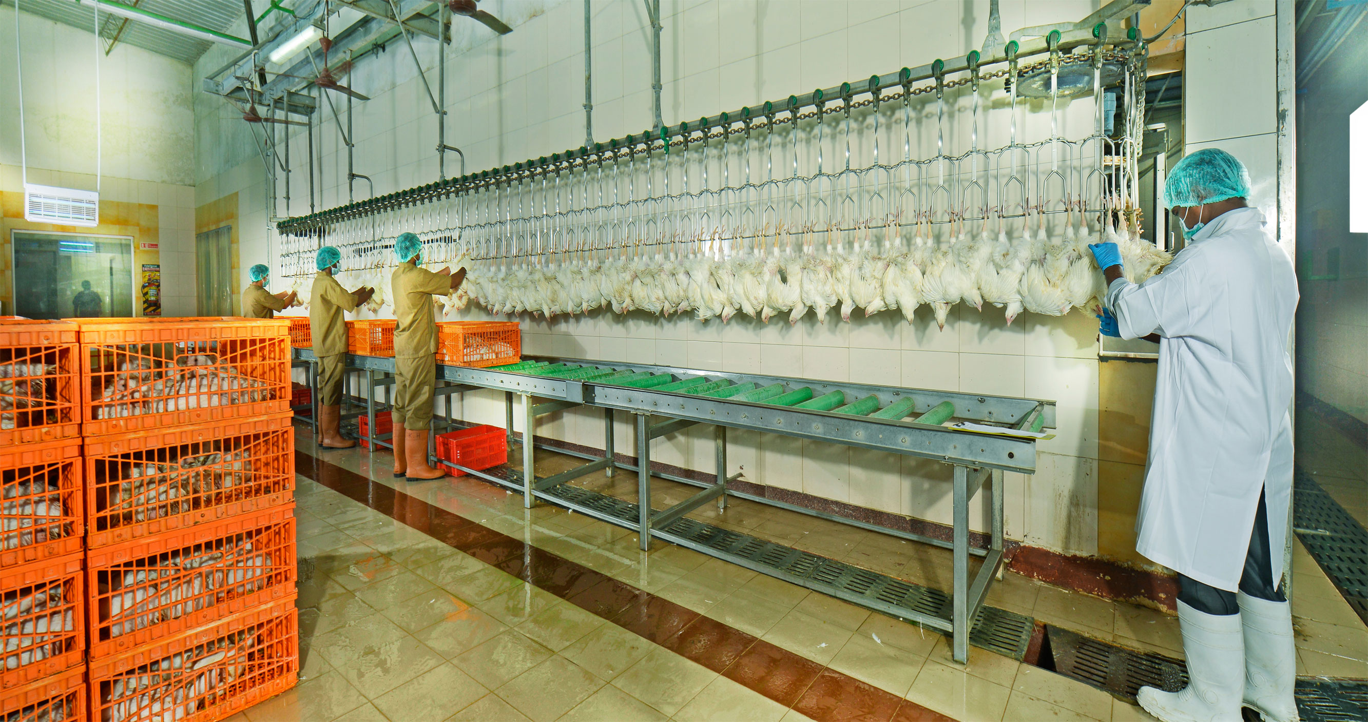 SKM-PORNA CHICKEN